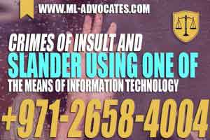 Crimes of insult and slander using one of the means of information tech