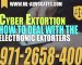 Cyber Extortion - How to deal with the Electronic Extorters